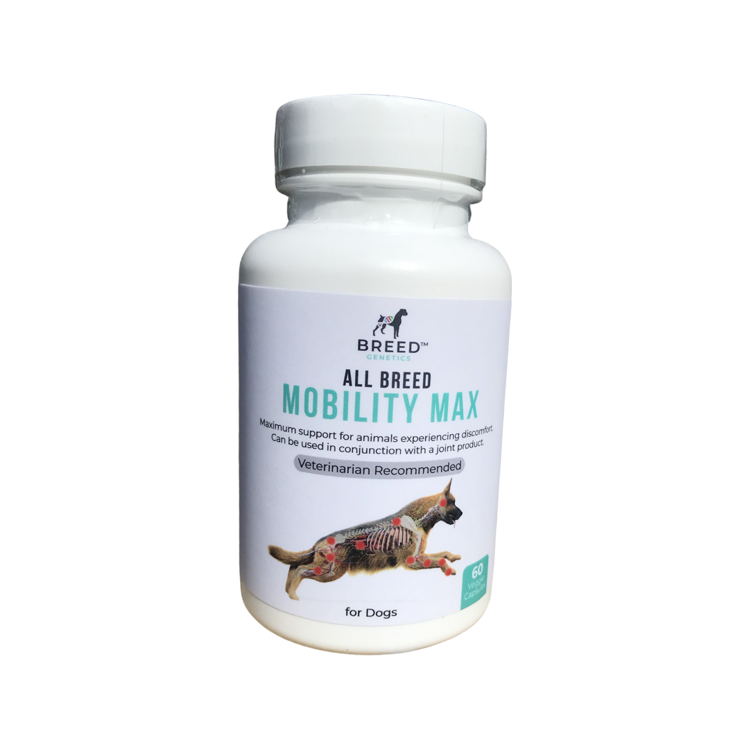 Breed Genetics- Dog Supplements