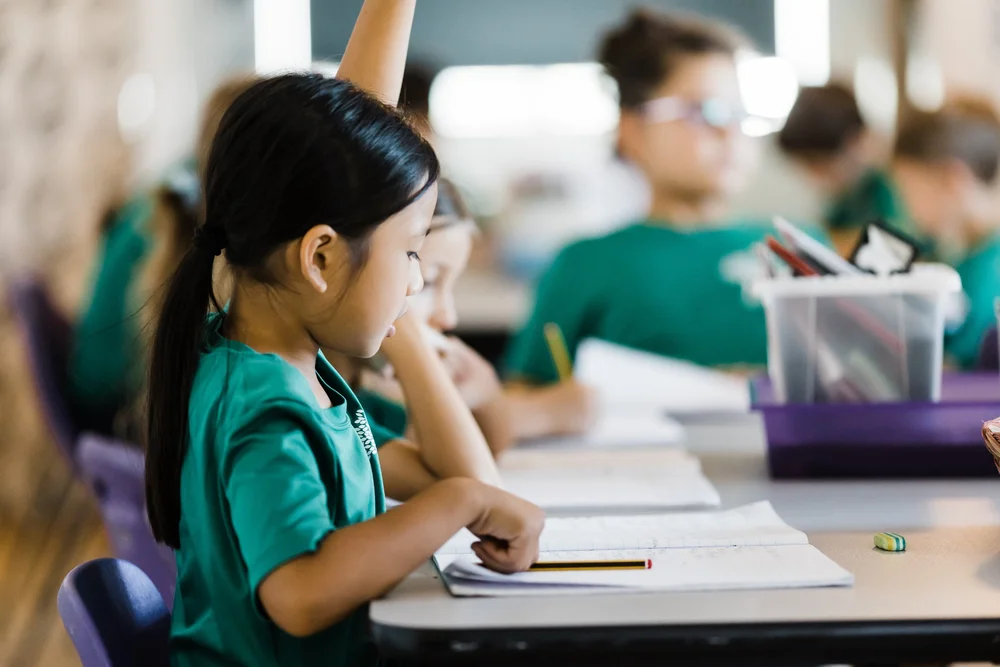 Primary School — Island Primary