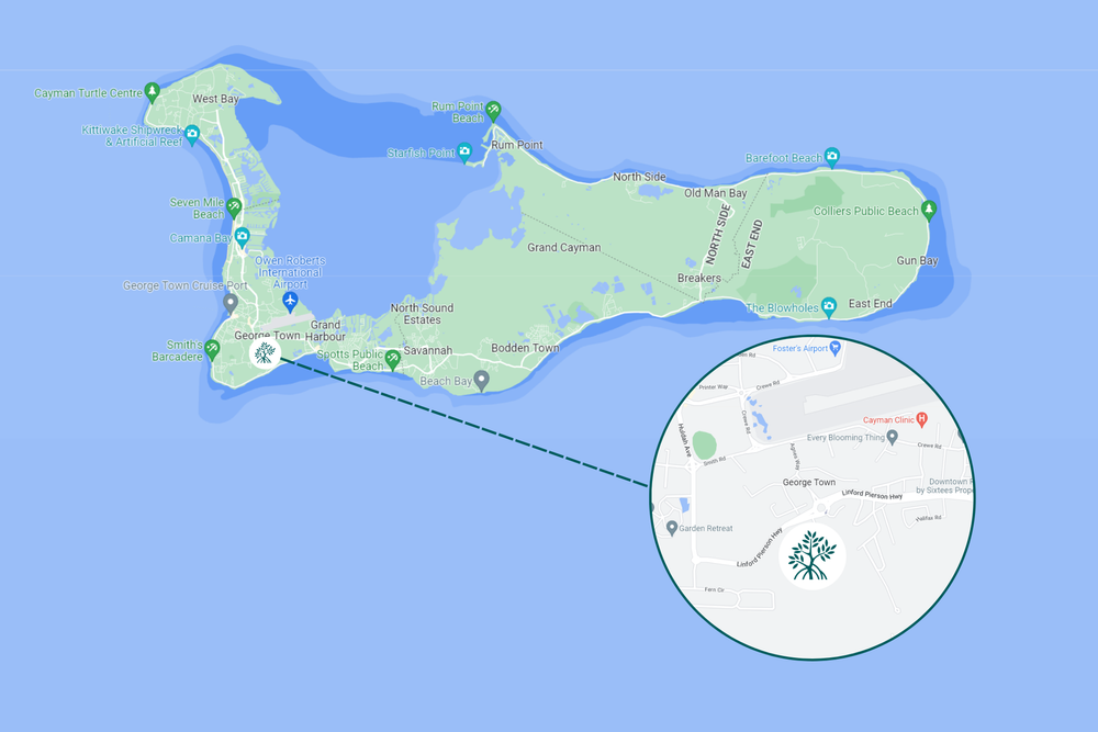 About Us - Island Primary — Island Primary