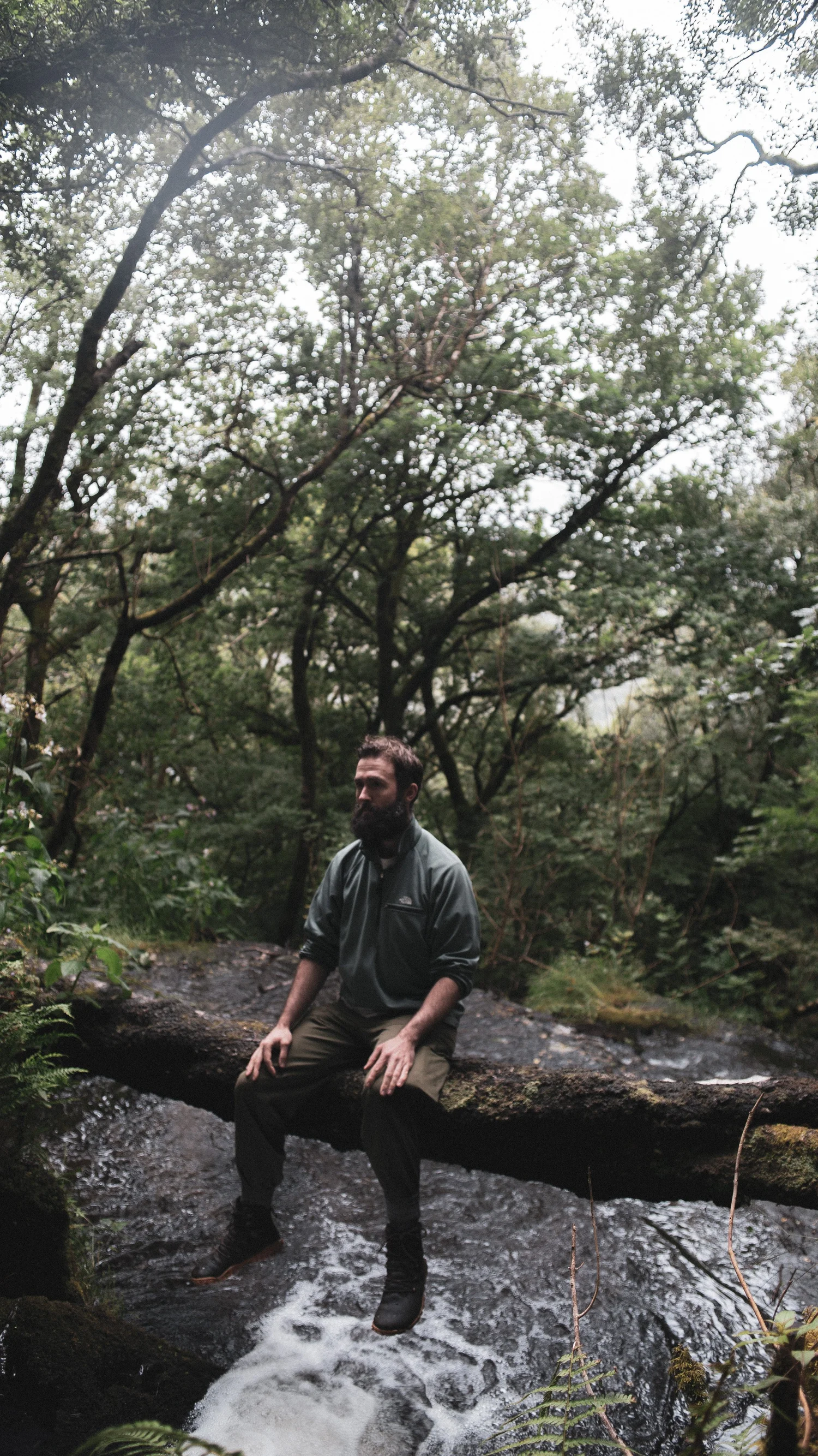 Deepen Your Roots — ROOTED HEALING