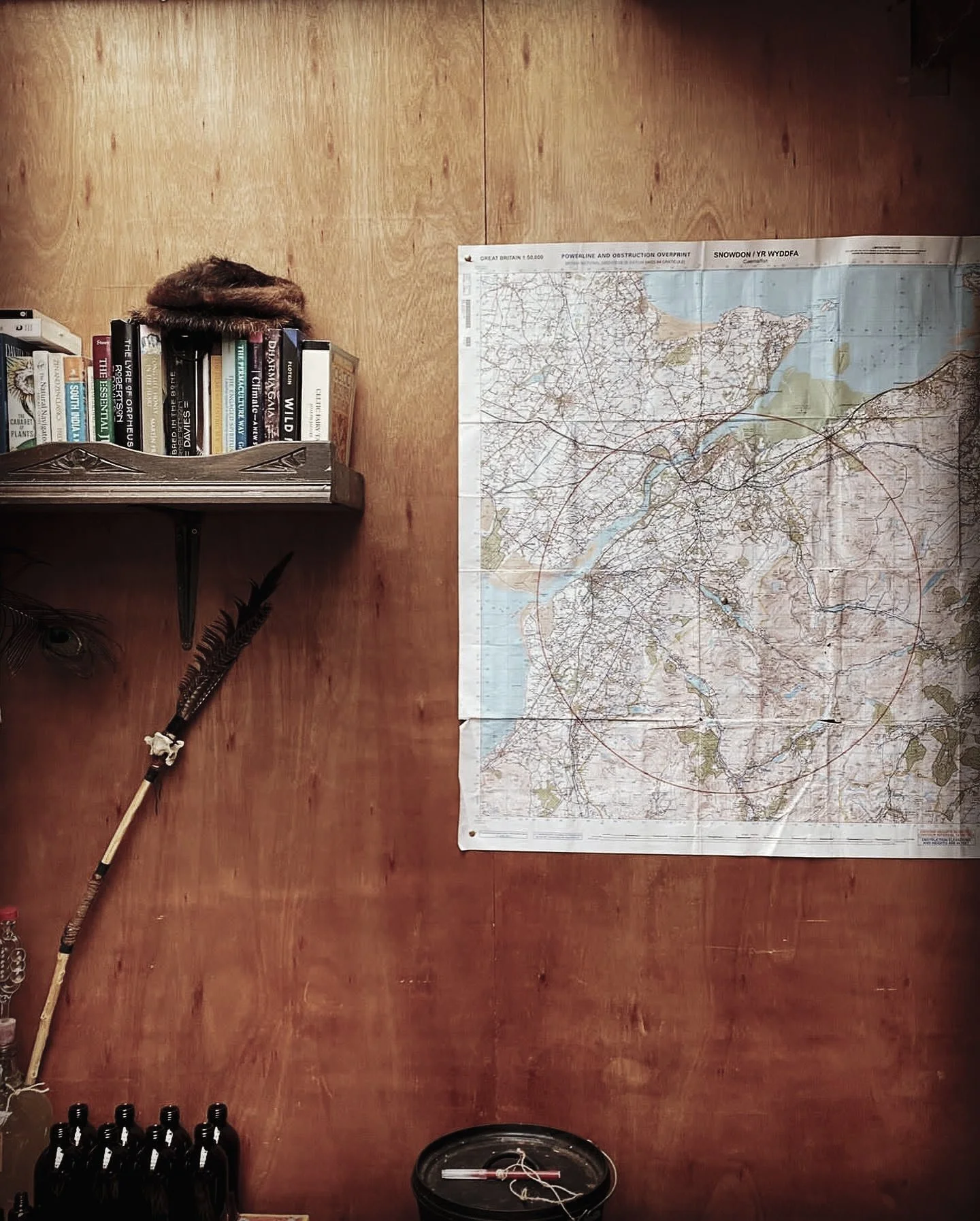 PODCAST — ROOTED HEALING