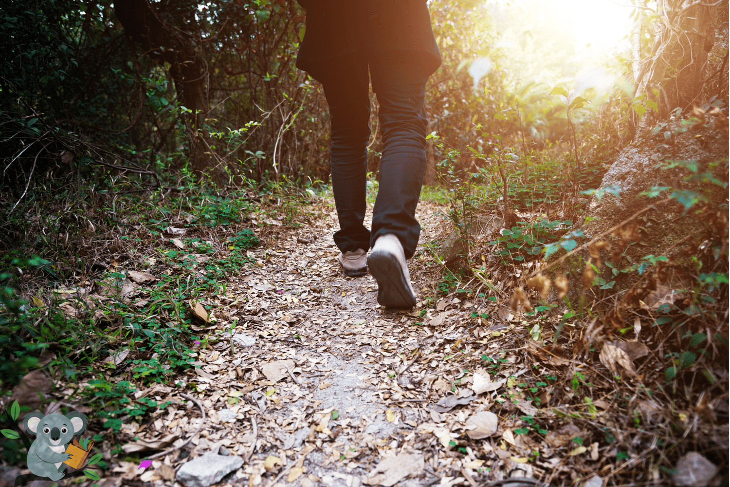 A Journey of Faith: Trusting the Established Steps - Total Language Plus