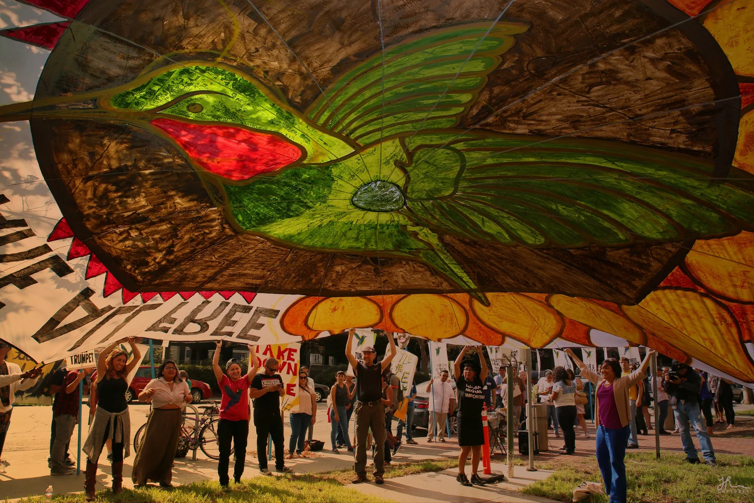 One Nation/One Project - A National Arts & Wellness Initiative