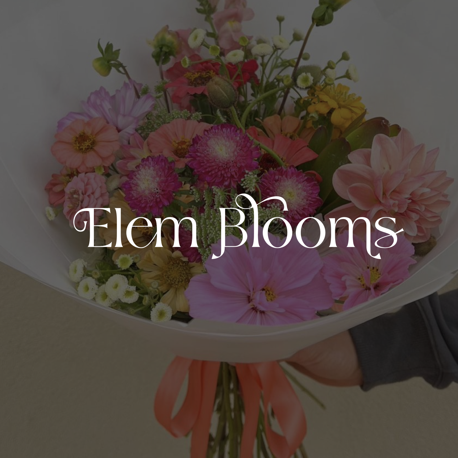 Elem Blooms — Emerson Fielke Creative