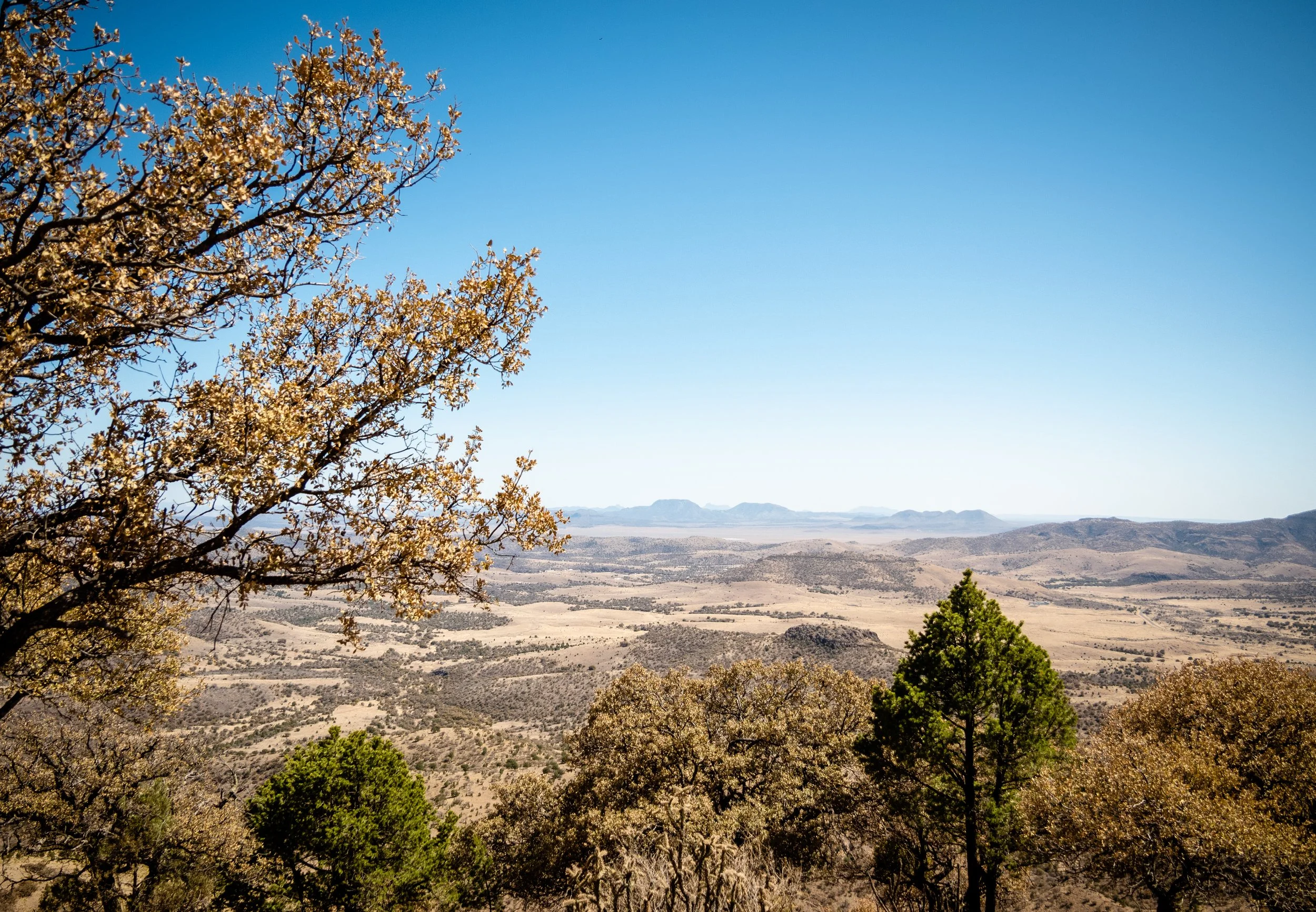 Photography by Nicholas Pumphrey