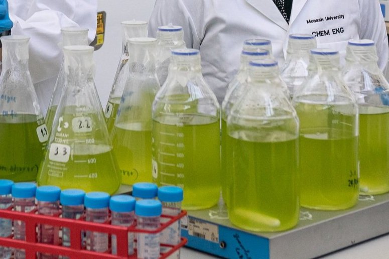 Monash Carbon Capture and Conversion