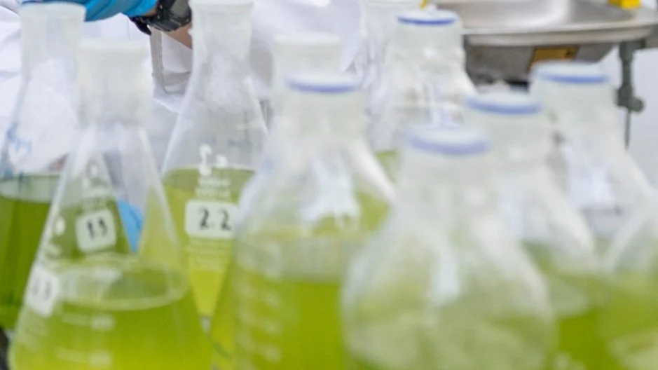 Monash Carbon Capture and Conversion