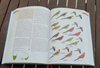 The Australian Bird Guide - a Review — of Travels and Trails