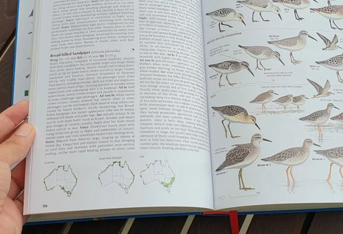 The Australian Bird Guide - a Review — of Travels and Trails