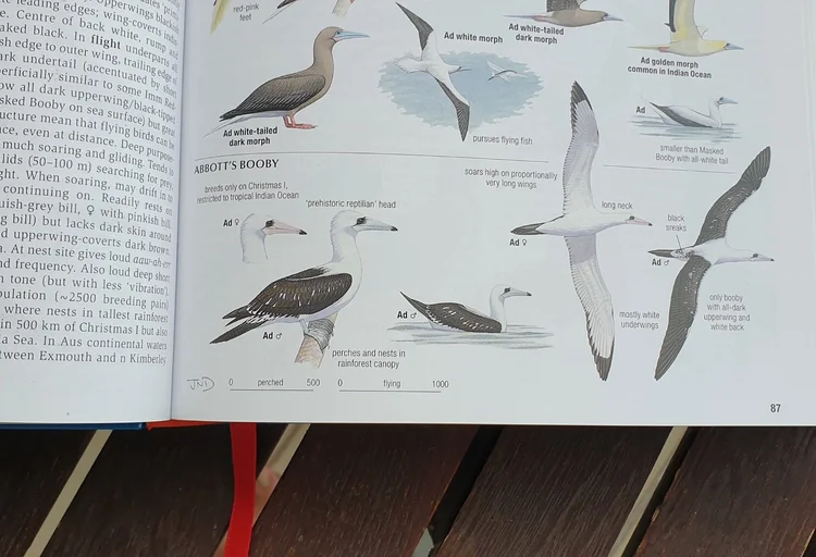 The Australian Bird Guide - a Review — of Travels and Trails