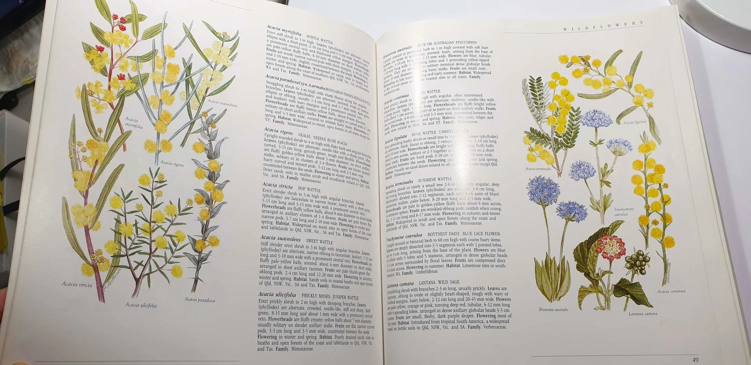 Concise Australian Flora: Another Inspirational Old book — of Travels ...