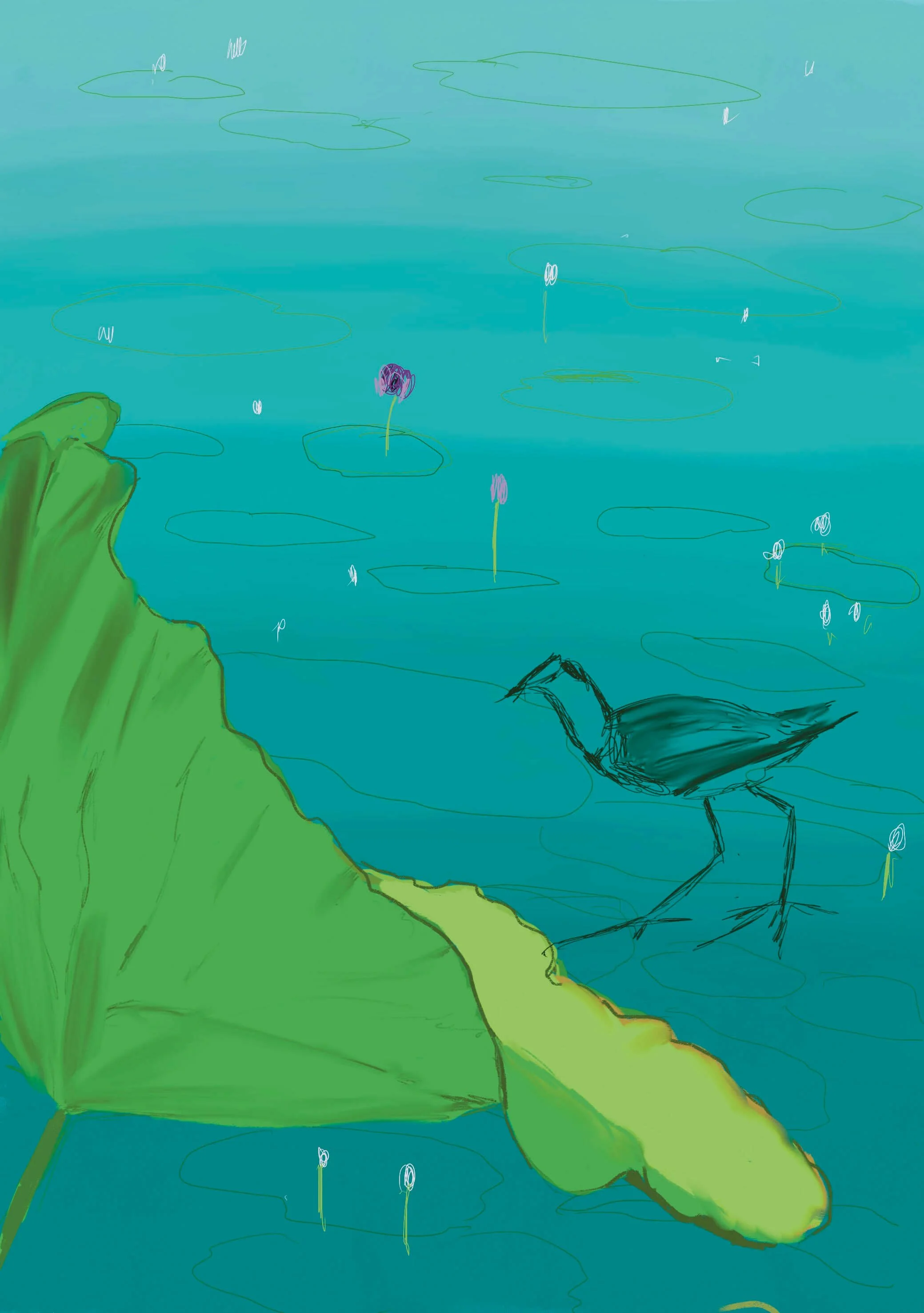 Painting (Comb-crested) Jacanas (Alphabet Superset Part 10) — of ...