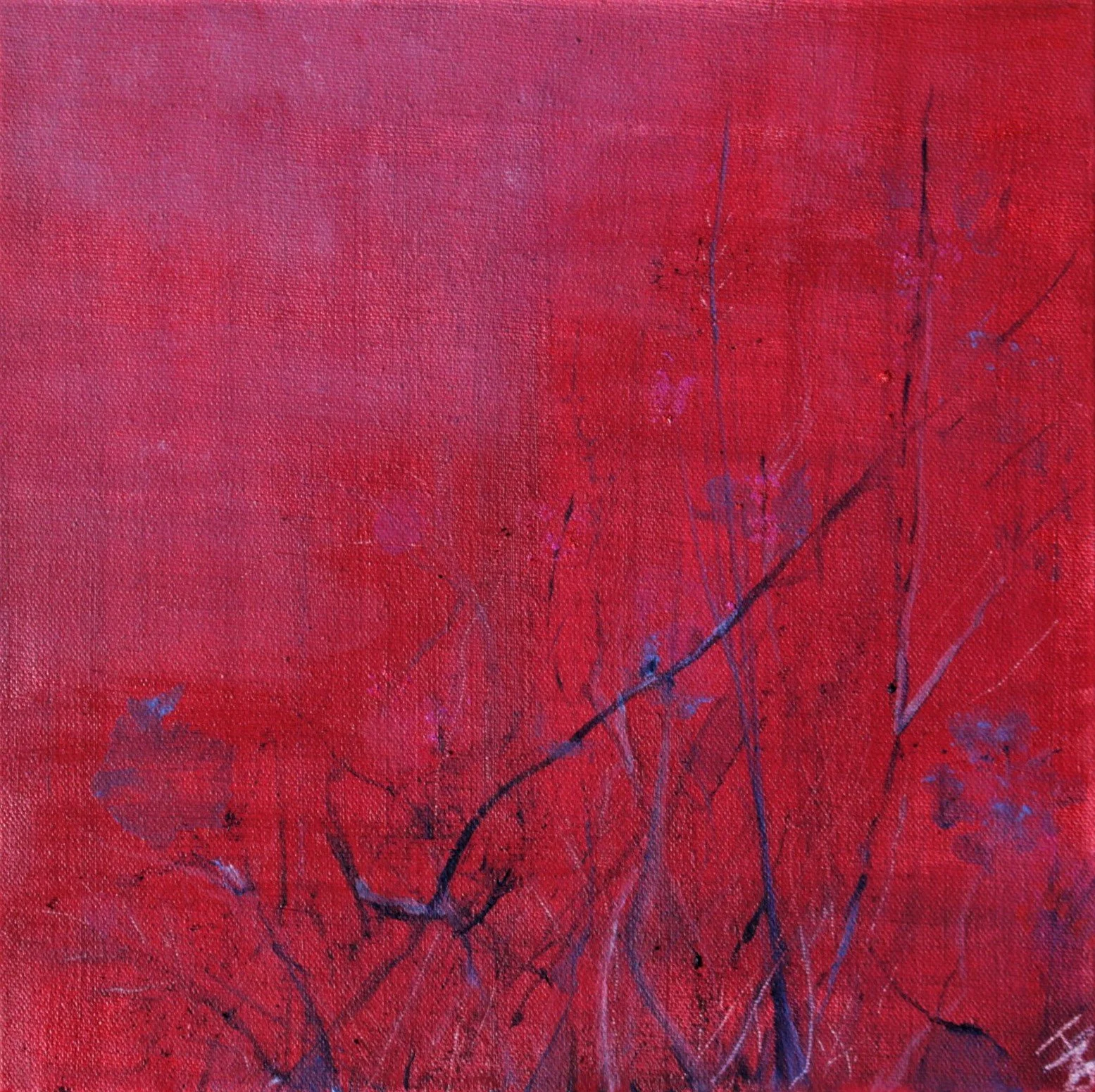 Squares — Jen Workman