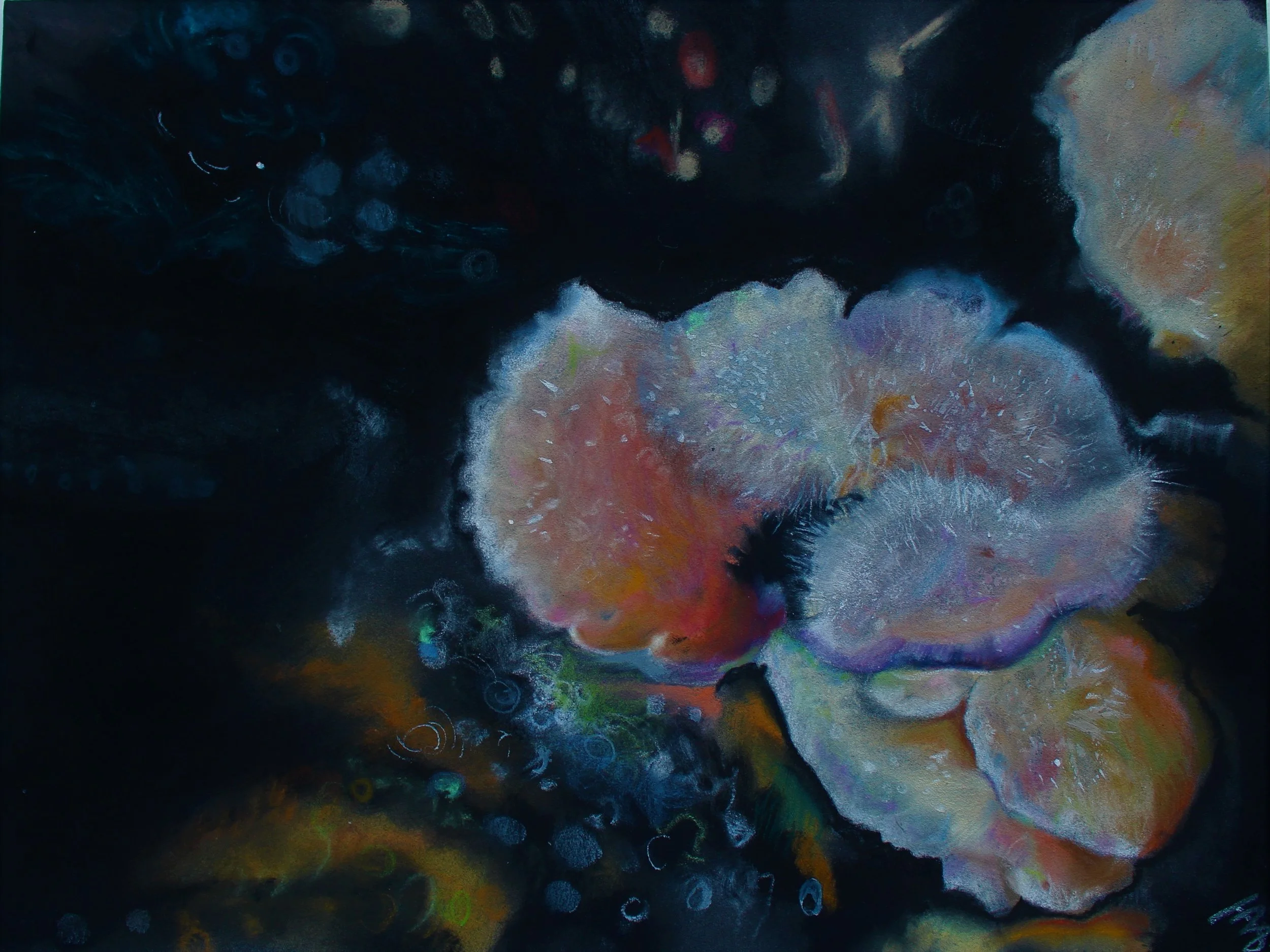 Pulse — Jen Workman