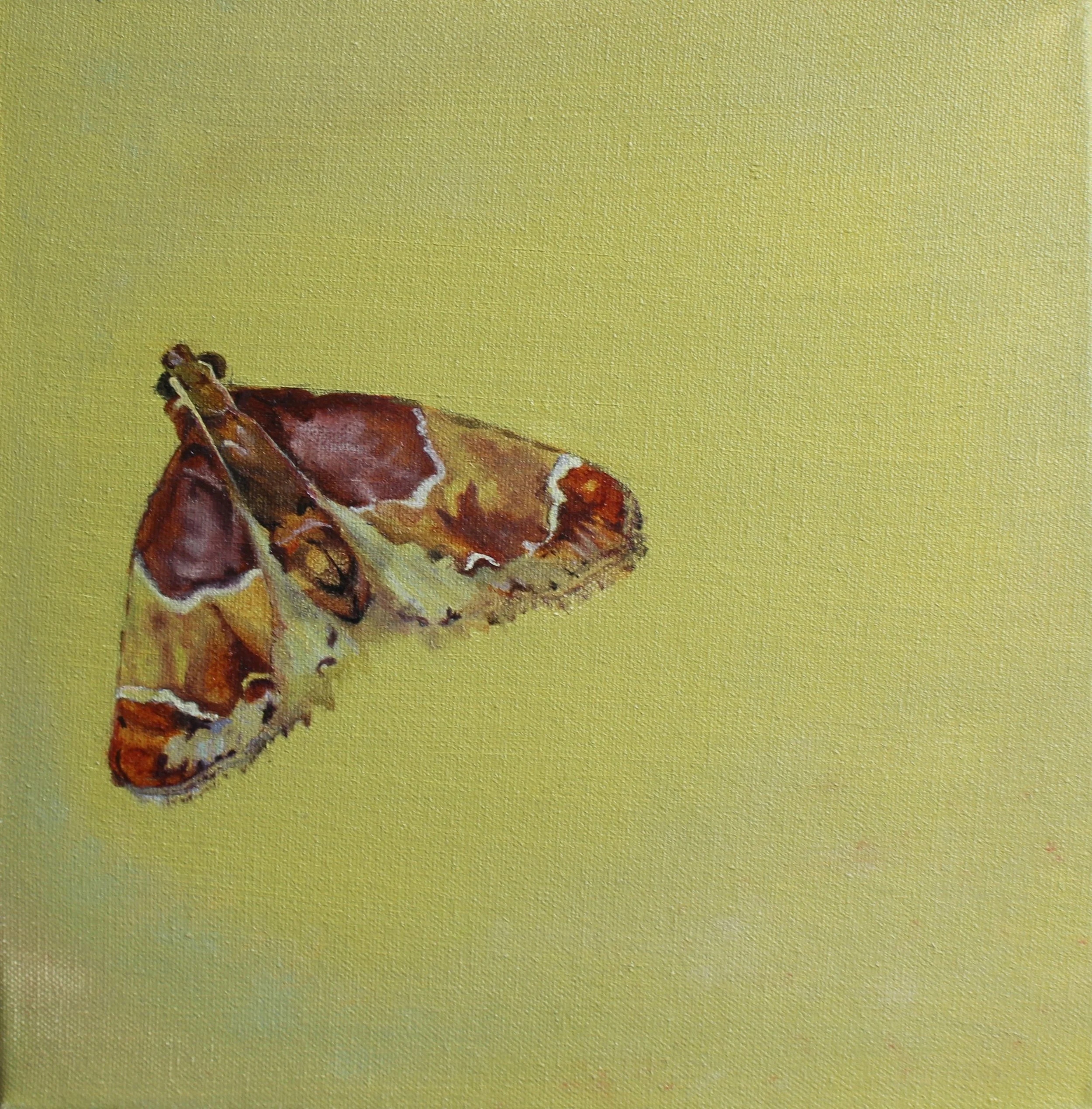 Gallery — Jen Workman