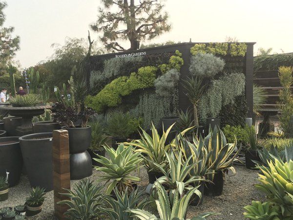 Elevation Vertical Gardens and Living Walls, to grow edible and ...