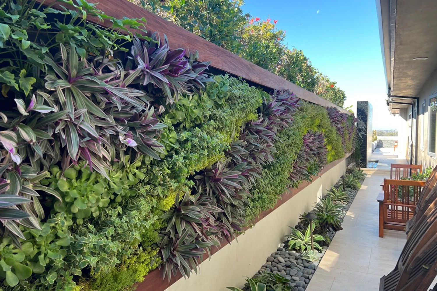 News — Elevation Vertical Gardens and Living Walls, to grow edible and ...