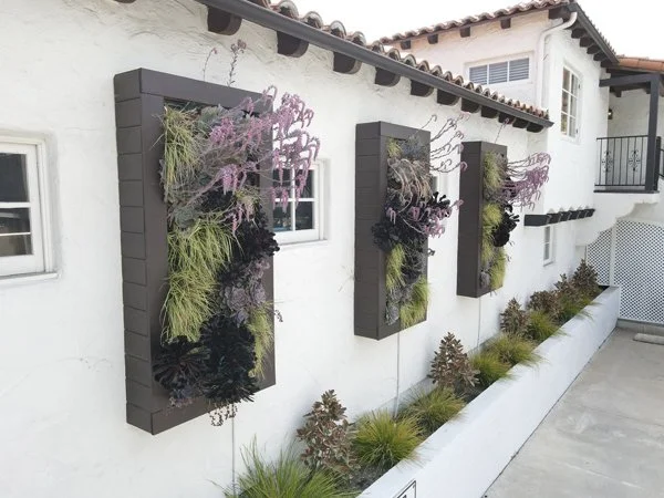 Elevation Vertical Gardens and Living Walls, to grow edible and ...