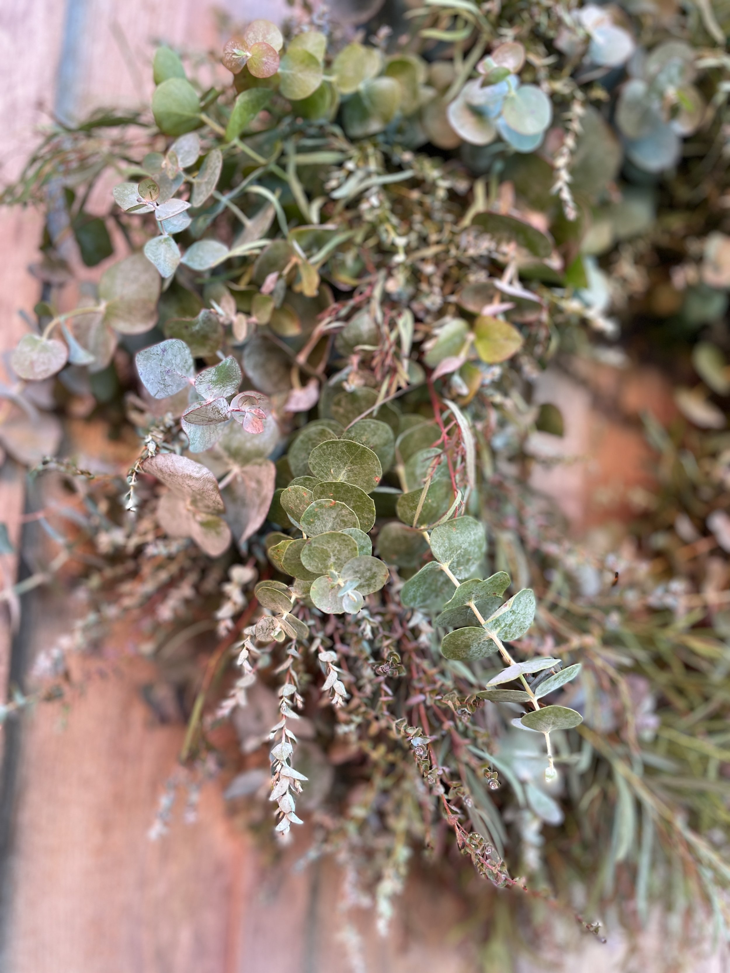 Flower CSA Memberships 2022 — Wilding Hope