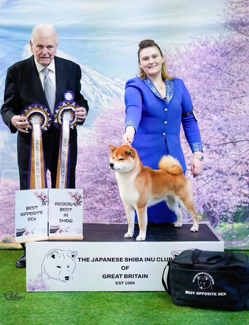 Club Championship Show 2024 — The Japanese Shiba Inu Club Of Great Britain