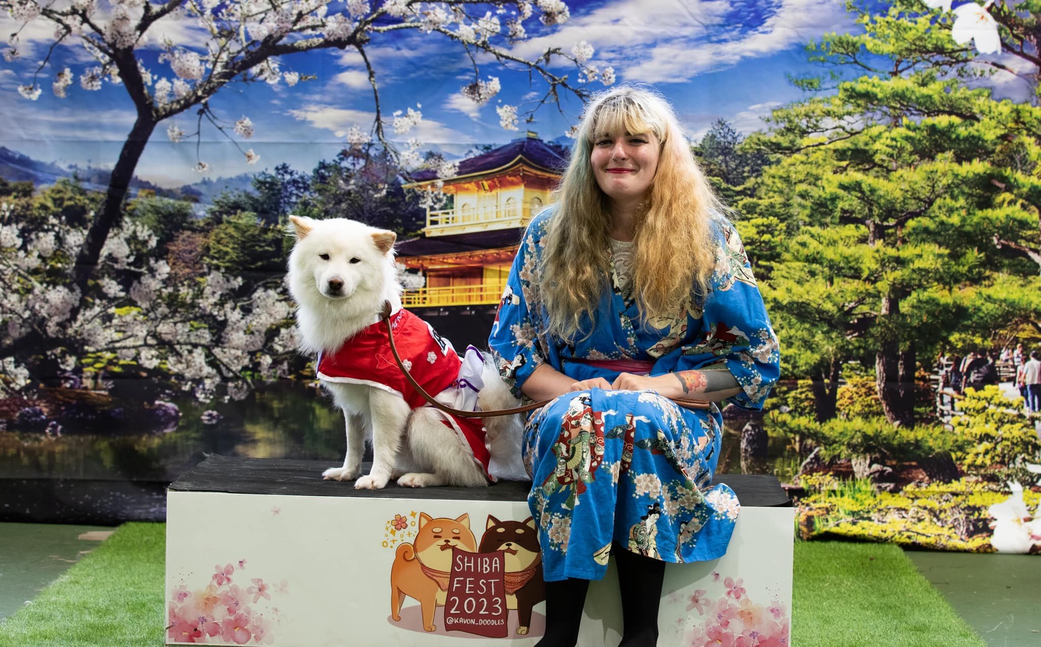 Shiba Fest — The Japanese Shiba Inu Club Of Great Britain