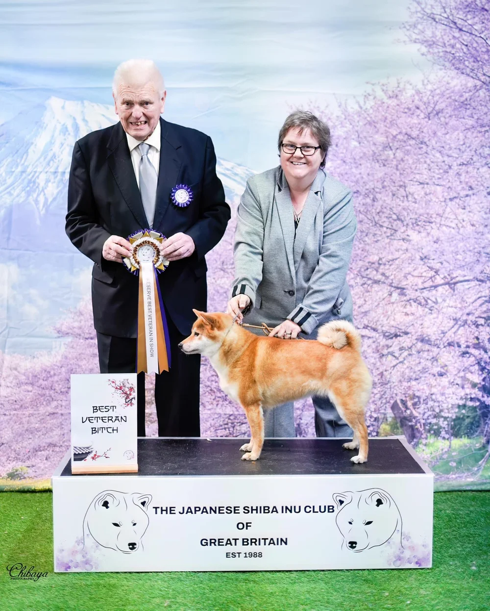 Club Championship Show 2024 — The Japanese Shiba Inu Club Of Great Britain