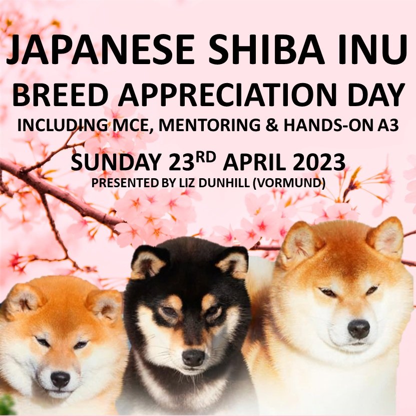 The Japanese Shiba Inu Club Of Great Britain