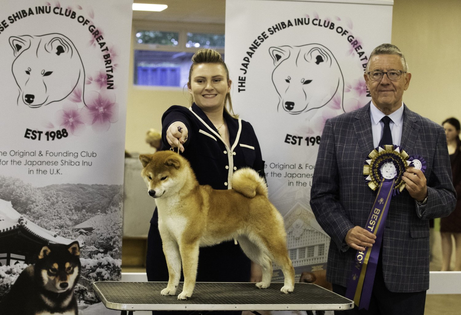 Club Open Show 2023 — The Japanese Shiba Inu Club Of Great Britain