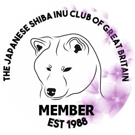 The Japanese Shiba Inu Club Of Great Britain