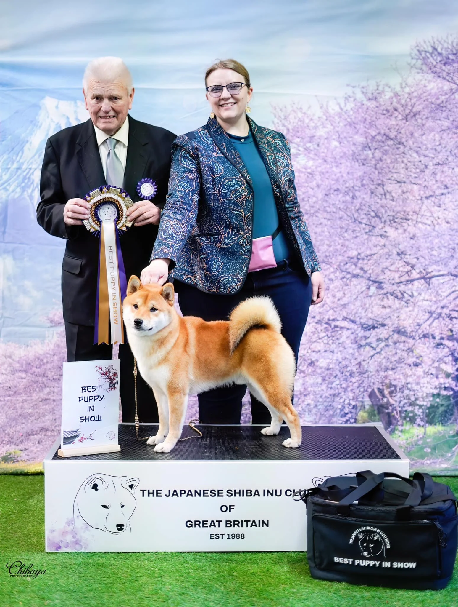 Club Championship Show 2024 — The Japanese Shiba Inu Club Of Great Britain