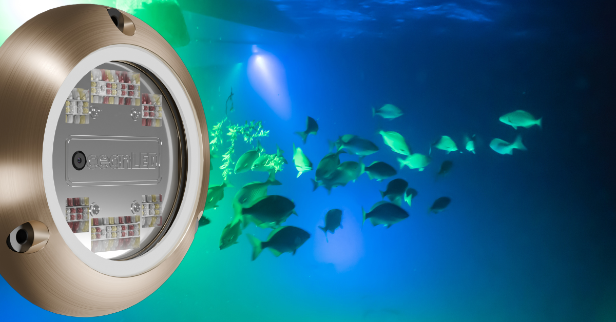 The World-First Underwater Light with Integrated Underwater Camera: The ...