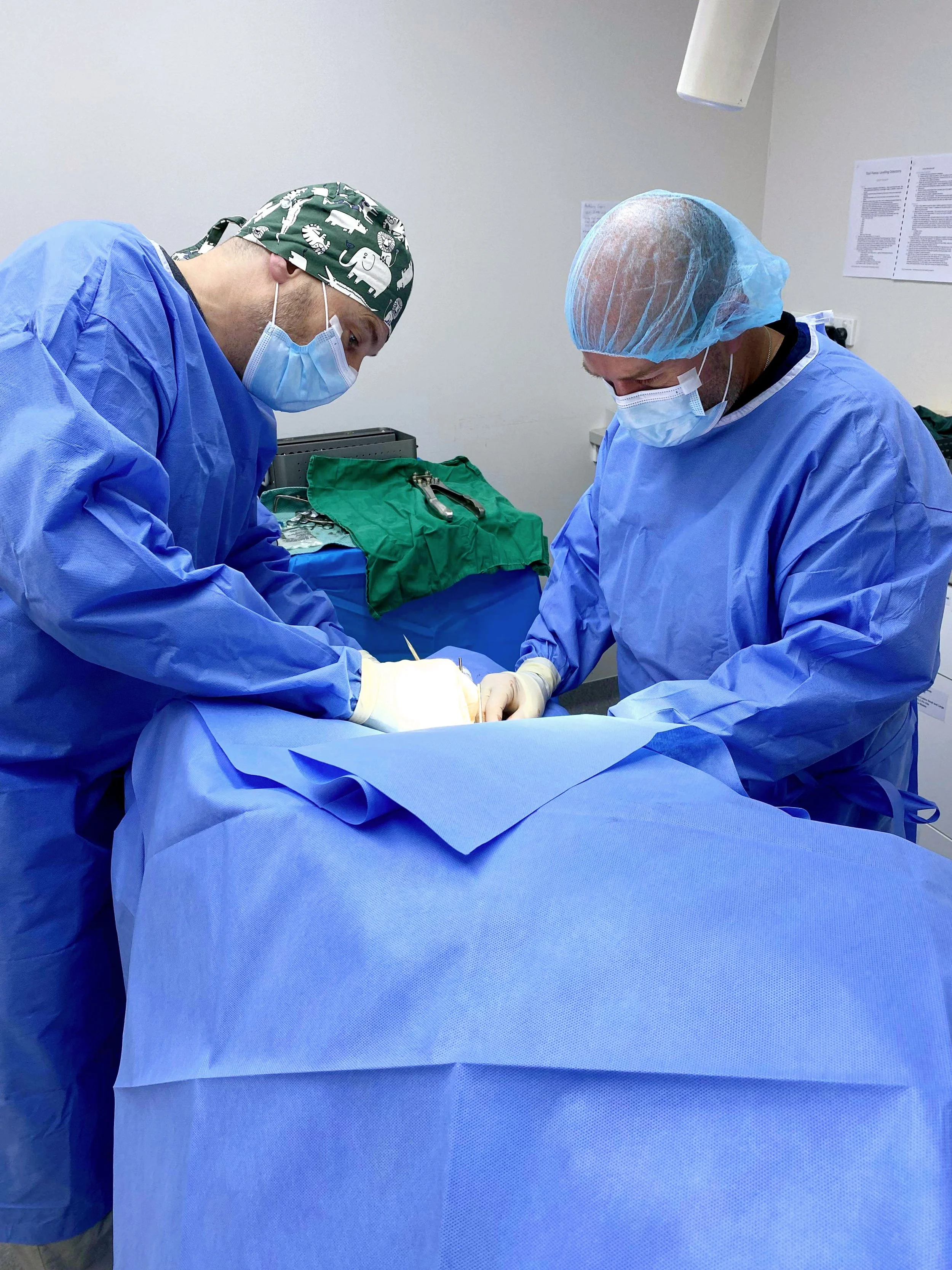 TPLO Tibial Plateau Leveling Osteotomy Surgery