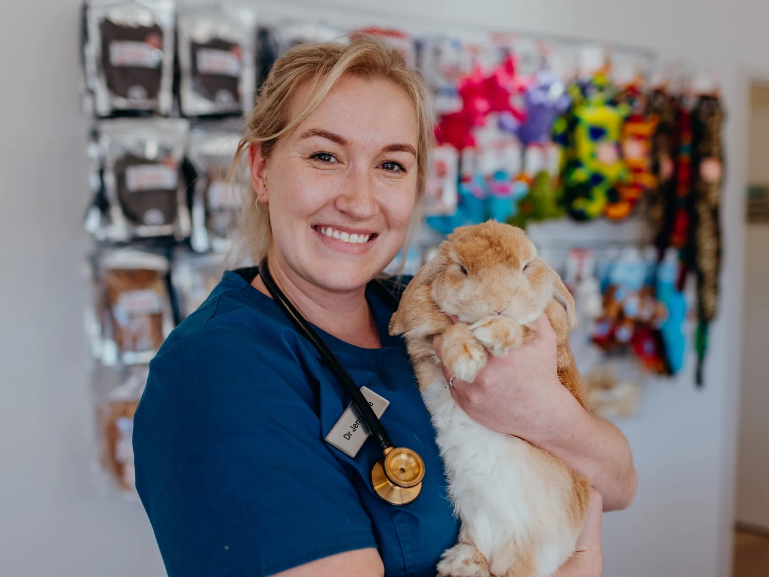 TPLO Tibial Plateau Leveling Osteotomy Surgery