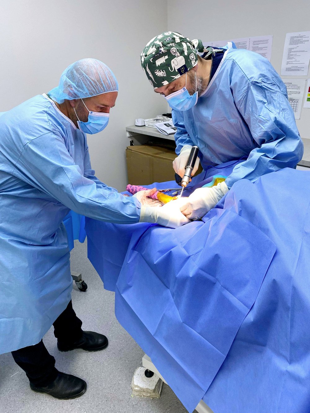 TPLO Tibial Plateau Leveling Osteotomy Surgery