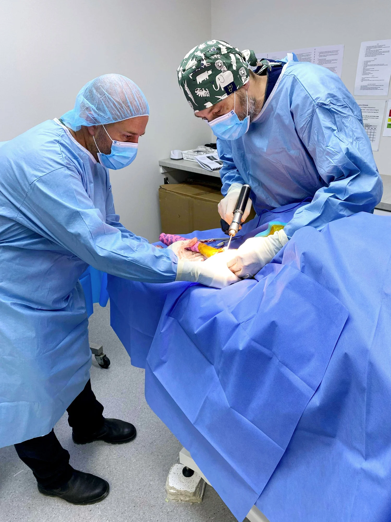 TPLO Tibial Plateau Leveling Osteotomy Surgery