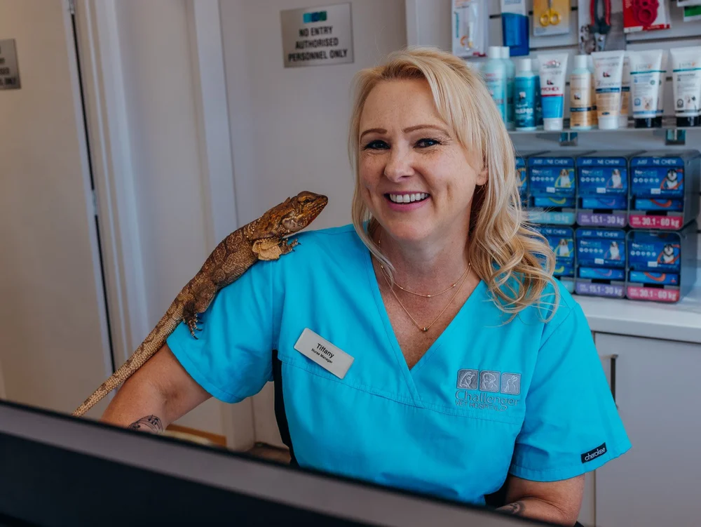 Meet The Talented Challenger Vet Team