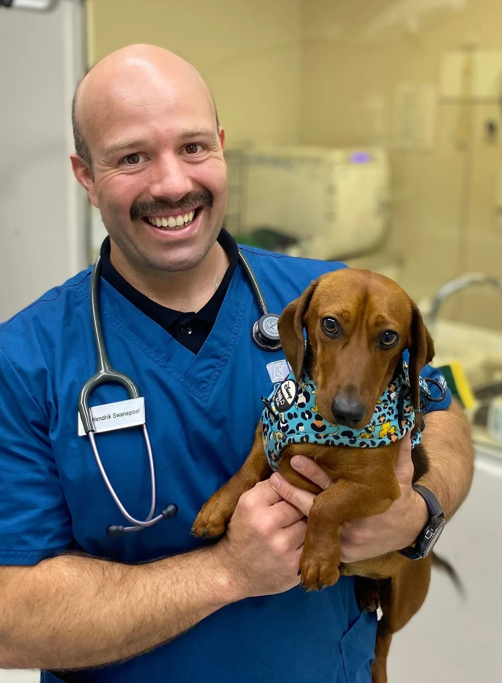 Team — Challenger Vet