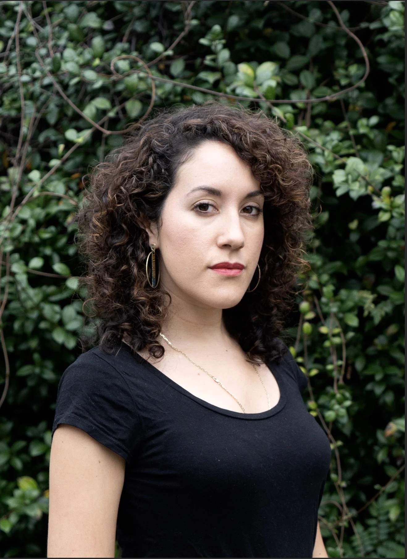 ARTISTS — A Structure Envisioned for Changing Circumstances