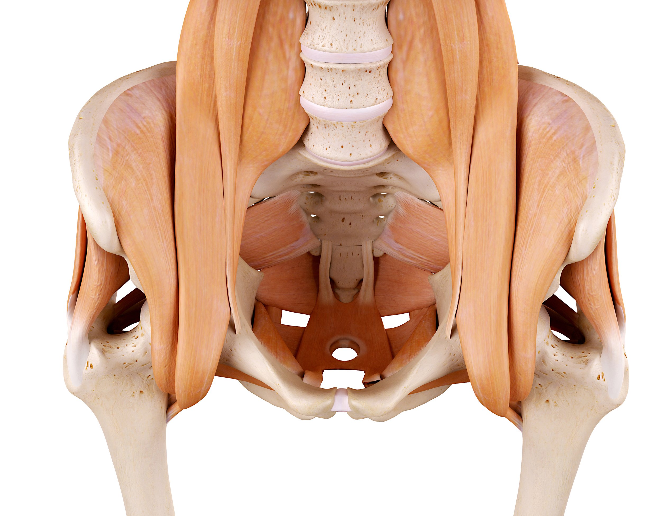 Your Pelvic Floor: What It Is And Why Is It Important