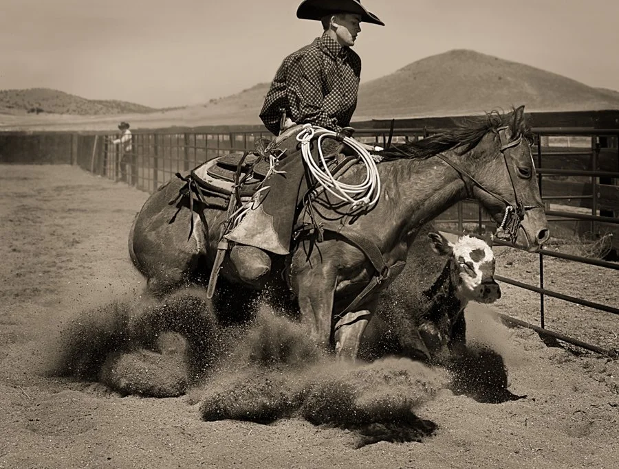 Ranch Life in America's West — Bev Pettit Photography