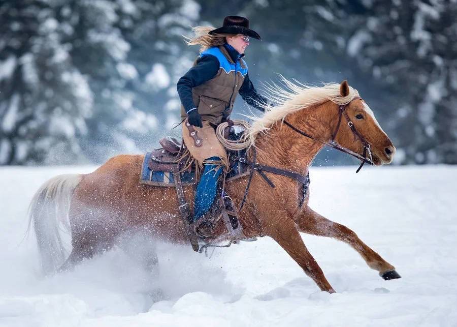 Ranch Life in America's West — Equine & Western Photography by Bev Pettit