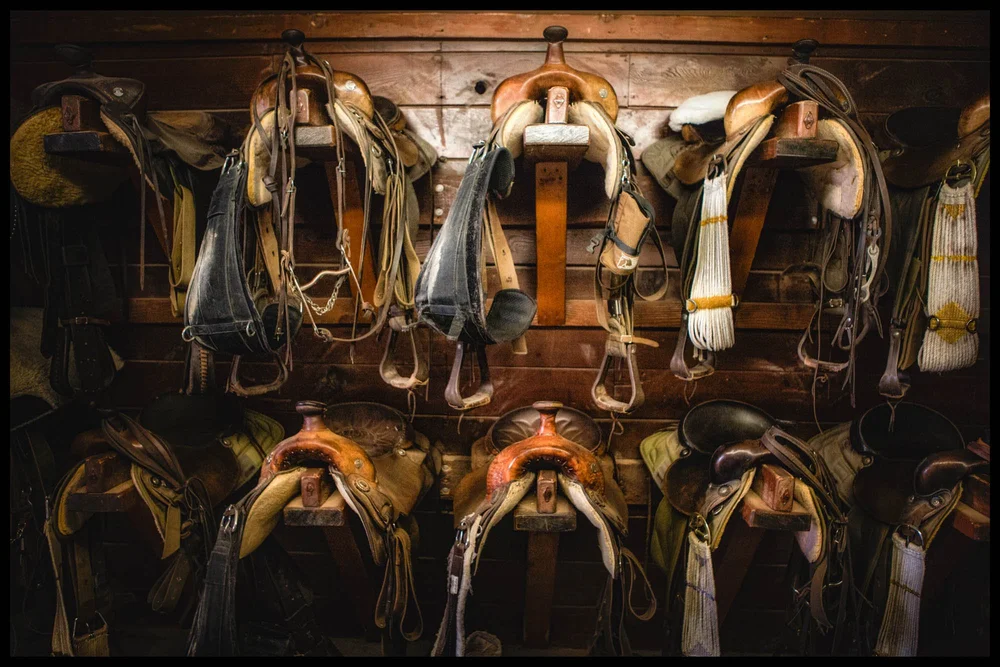 Trappings of the American Cowboy — Equine & Western Photography by Bev ...