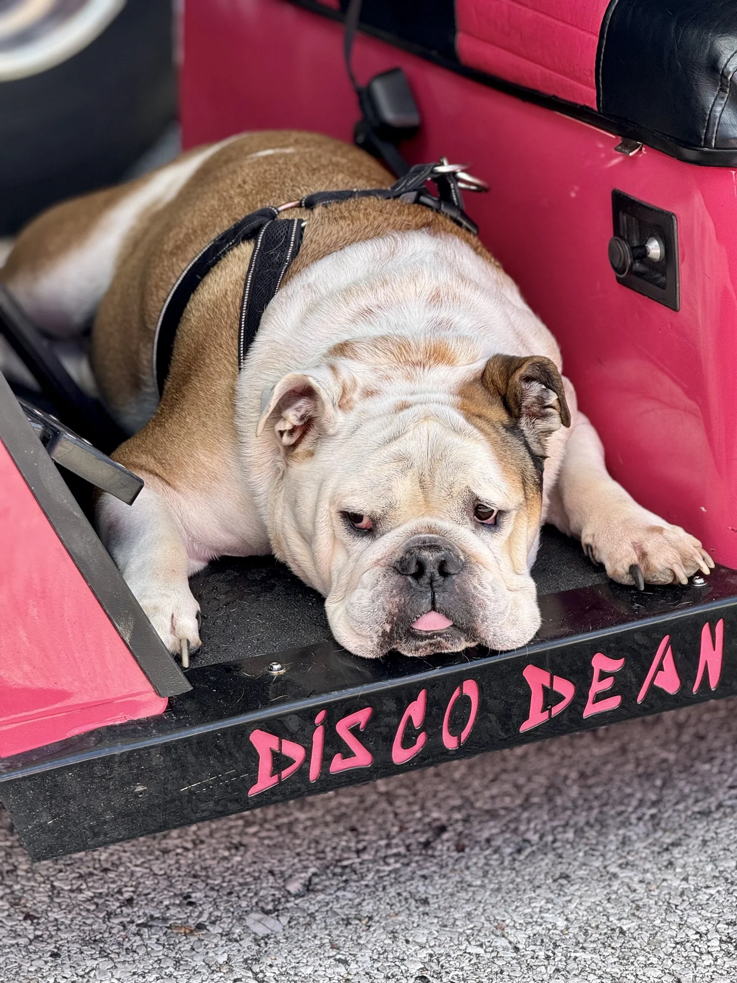 DISCO DEAN STINKY PINKY