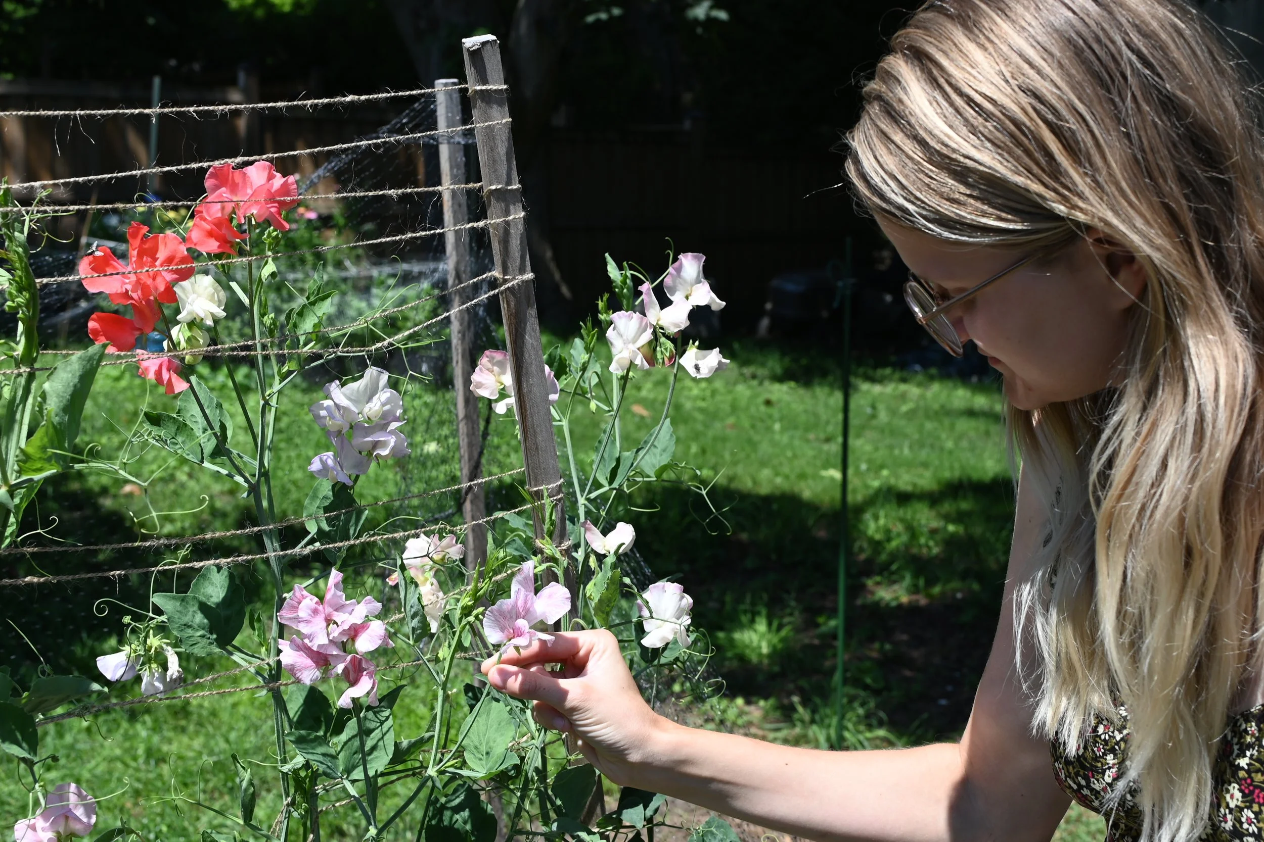 Heirloom Heather Eco-Conscious Flower Farm