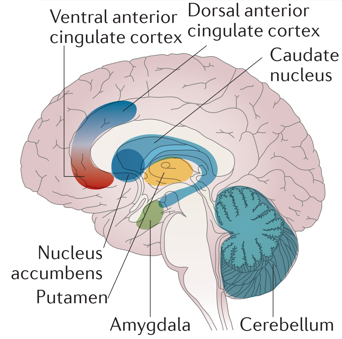 ADHD Treatment Near Me | Neurodevelopmental Disorders Specialist in Cleveland | Columbus ...