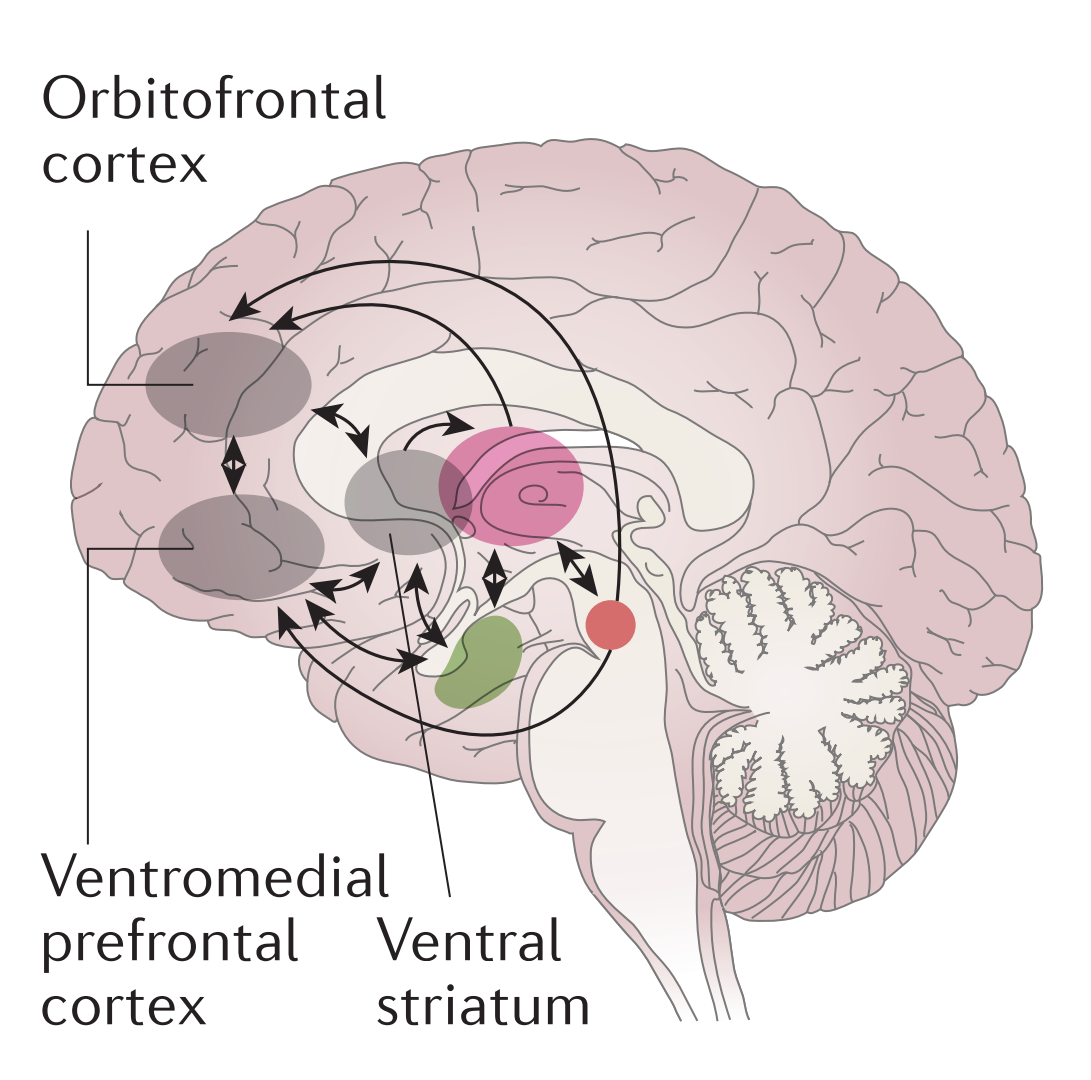 ADHD Treatment Near Me | Neurodevelopmental Disorders Specialist in ...