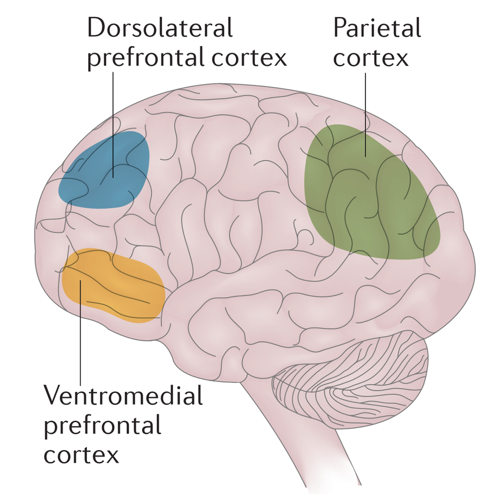 ADHD Treatment Near Me | Neurodevelopmental Disorders Specialist in ...