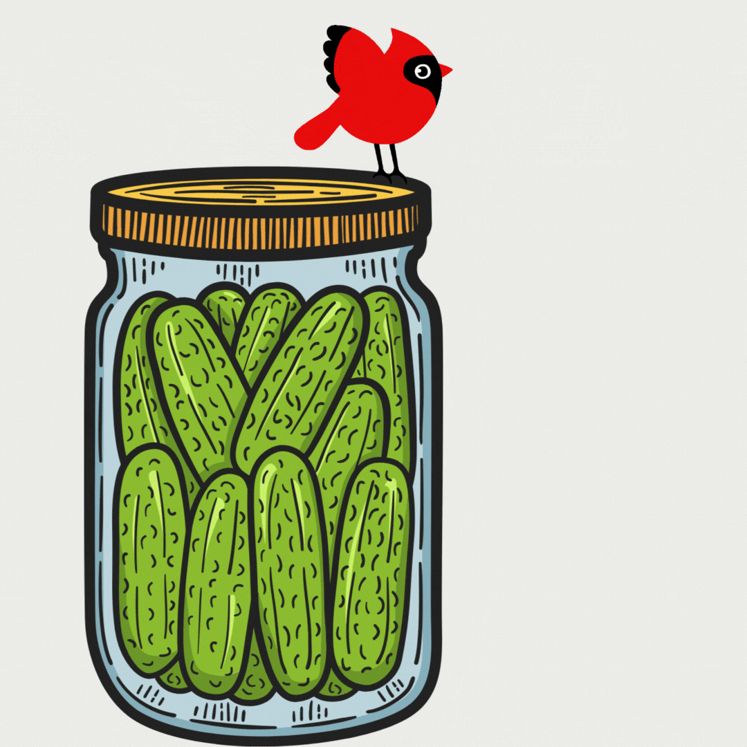 Pickle Recipes — Sustainability Matters