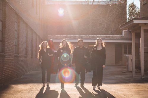 Terra String Quartet