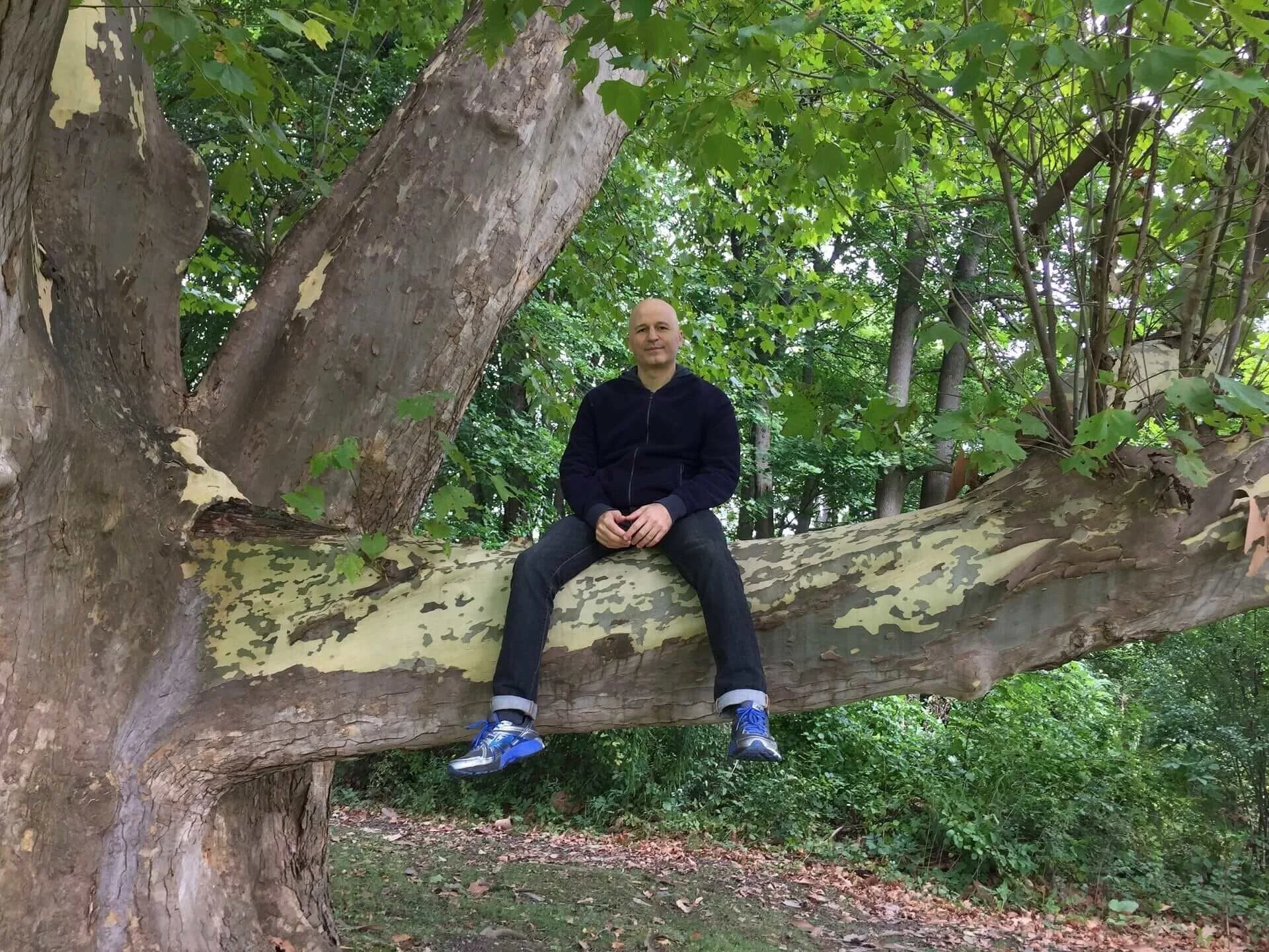 About — Scott Stabile